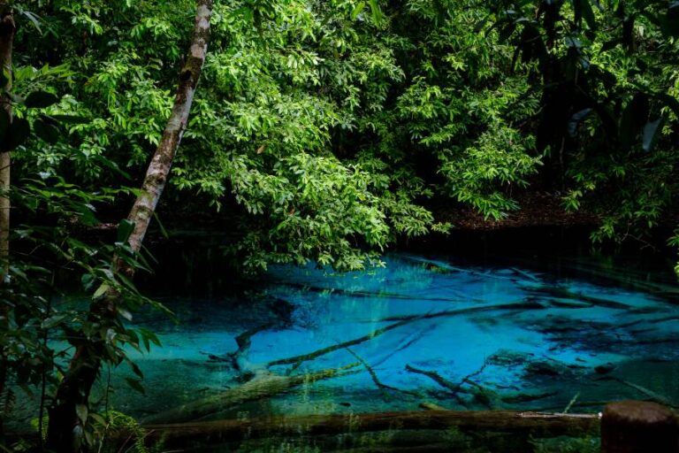 Emerald Pool Krabi Tours and information – Royal Vacation